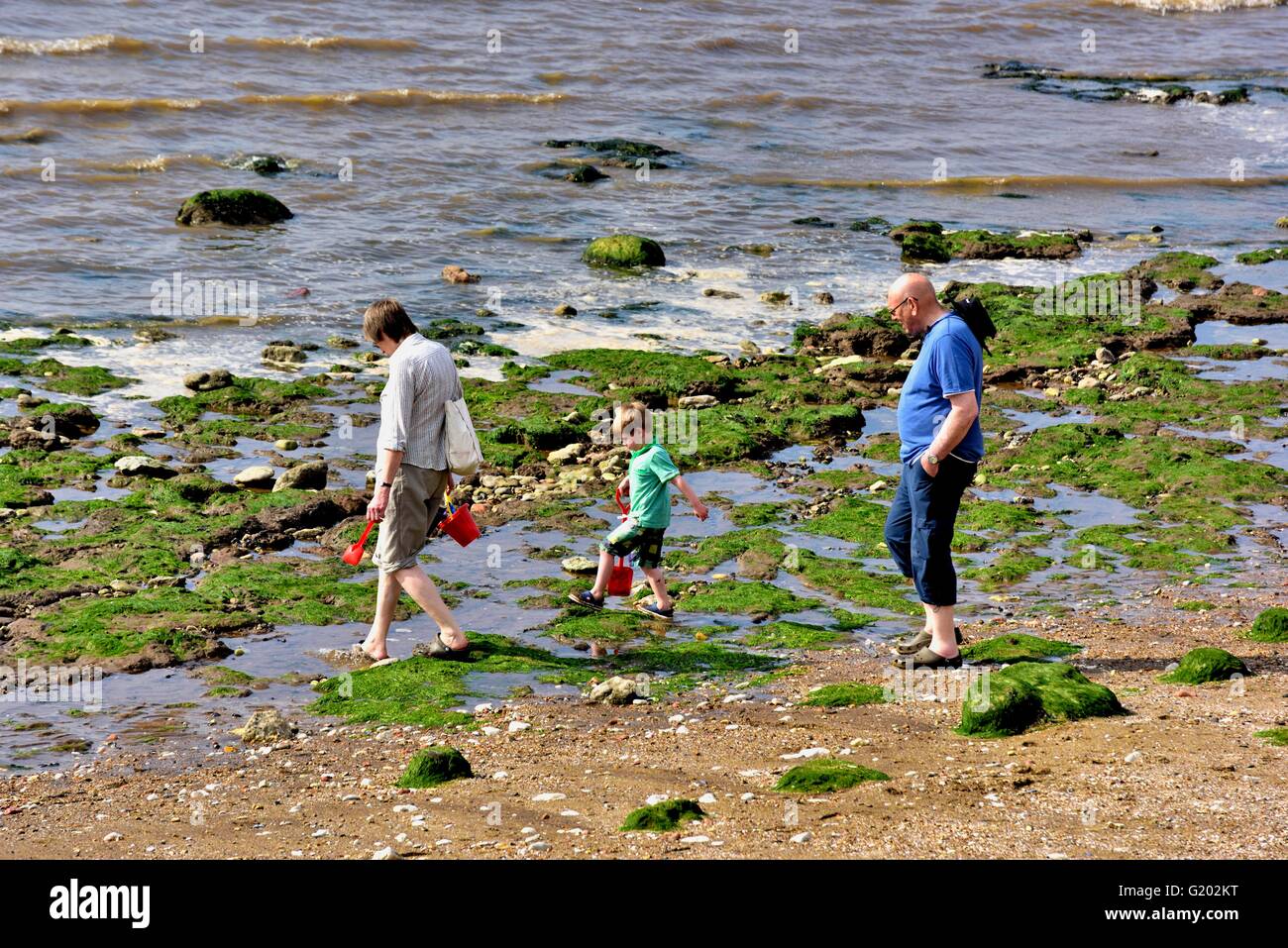 Family with grandparents beach hi-res stock photography and images - Alamy