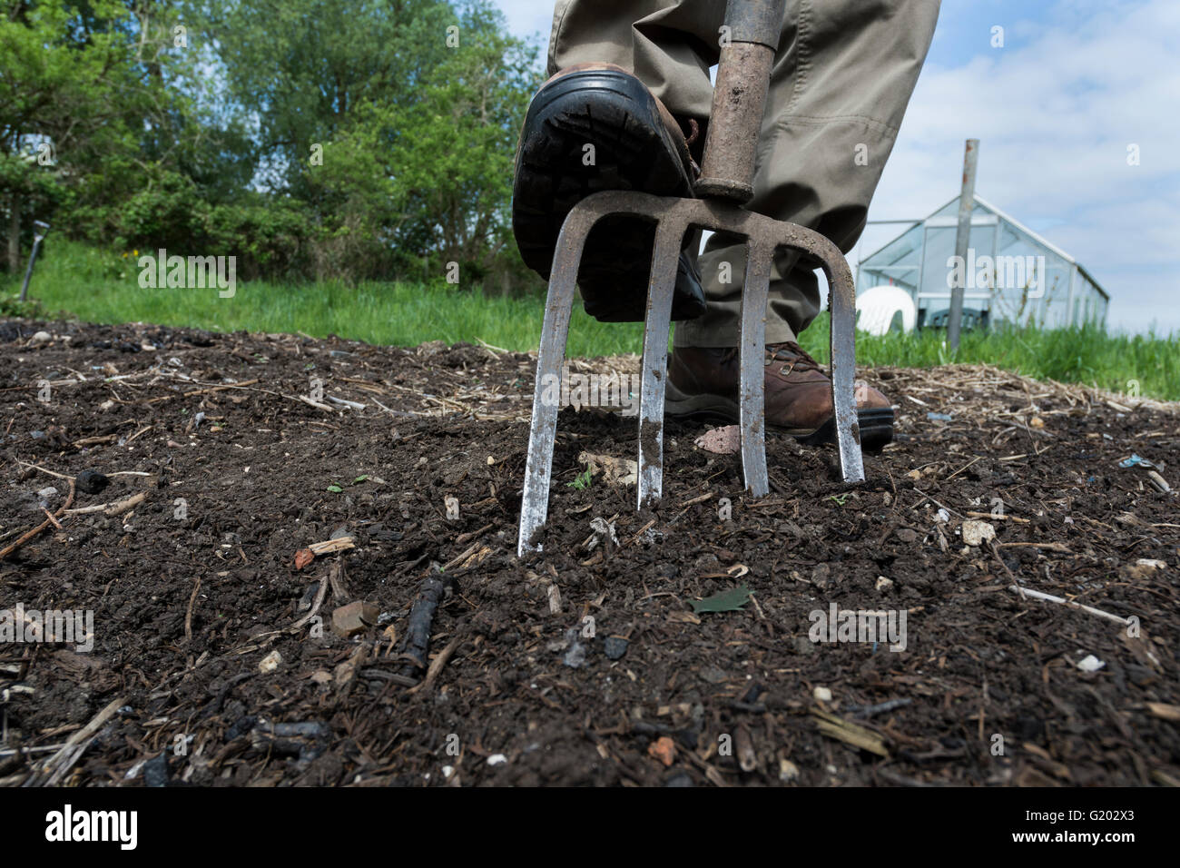 Person digging bare earth on a plot of land with a close up view of the ...