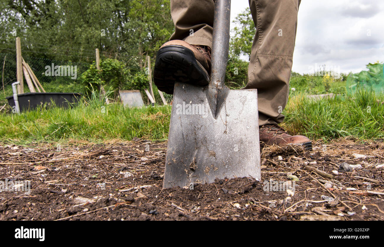 Person digging bare earth on a plot of land with a close up view of the ...