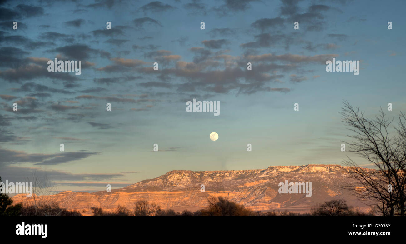 Full grand hi-res stock photography and images - Alamy