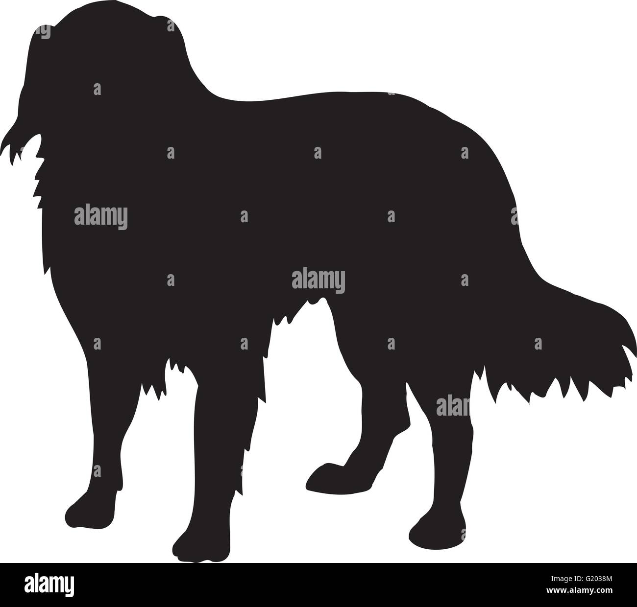 Australian Shepherd silhouette Stock Vector Image & Art - Alamy