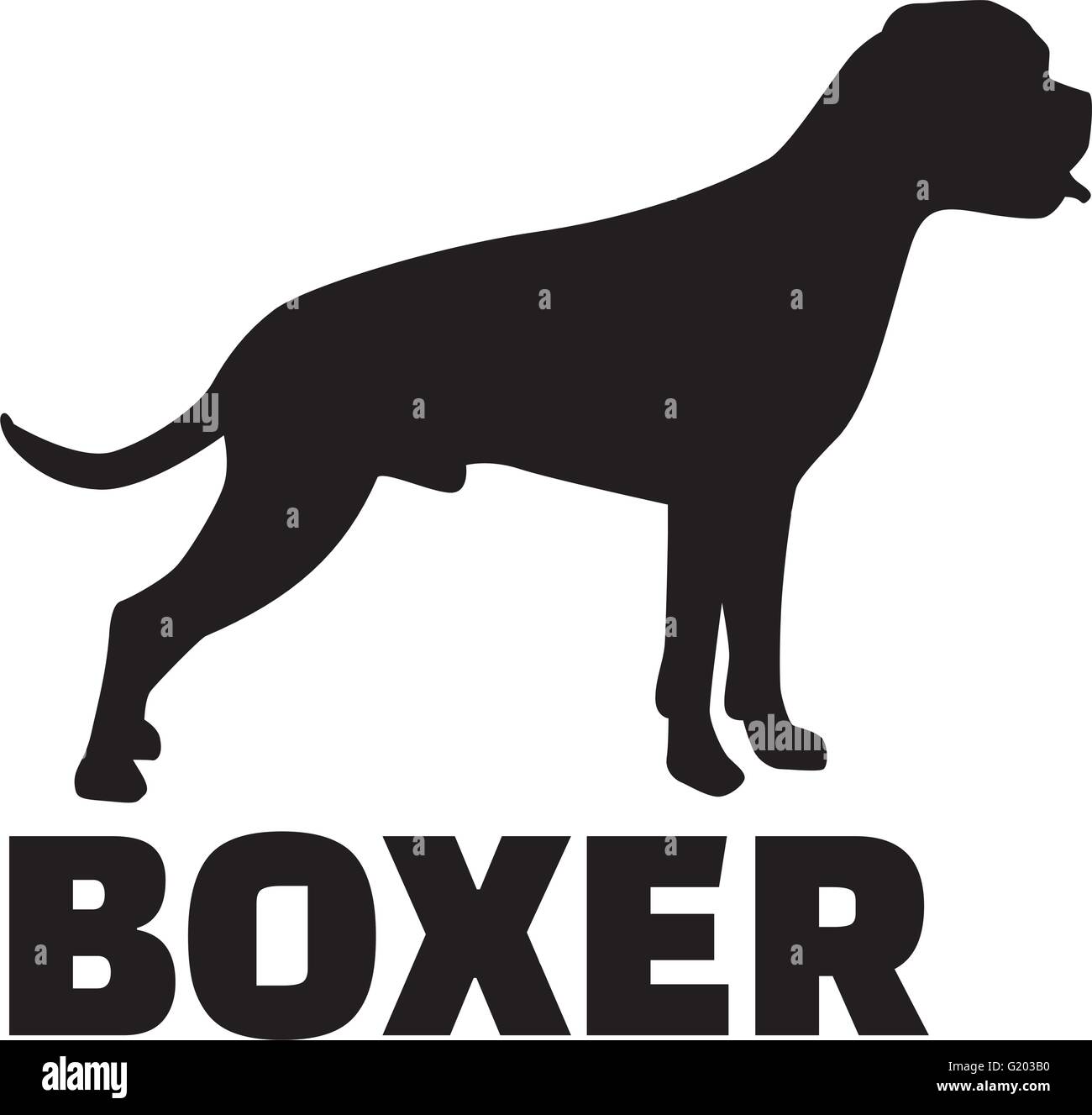 Boxer silhouette with breed name Stock Vector Image & Art - Alamy