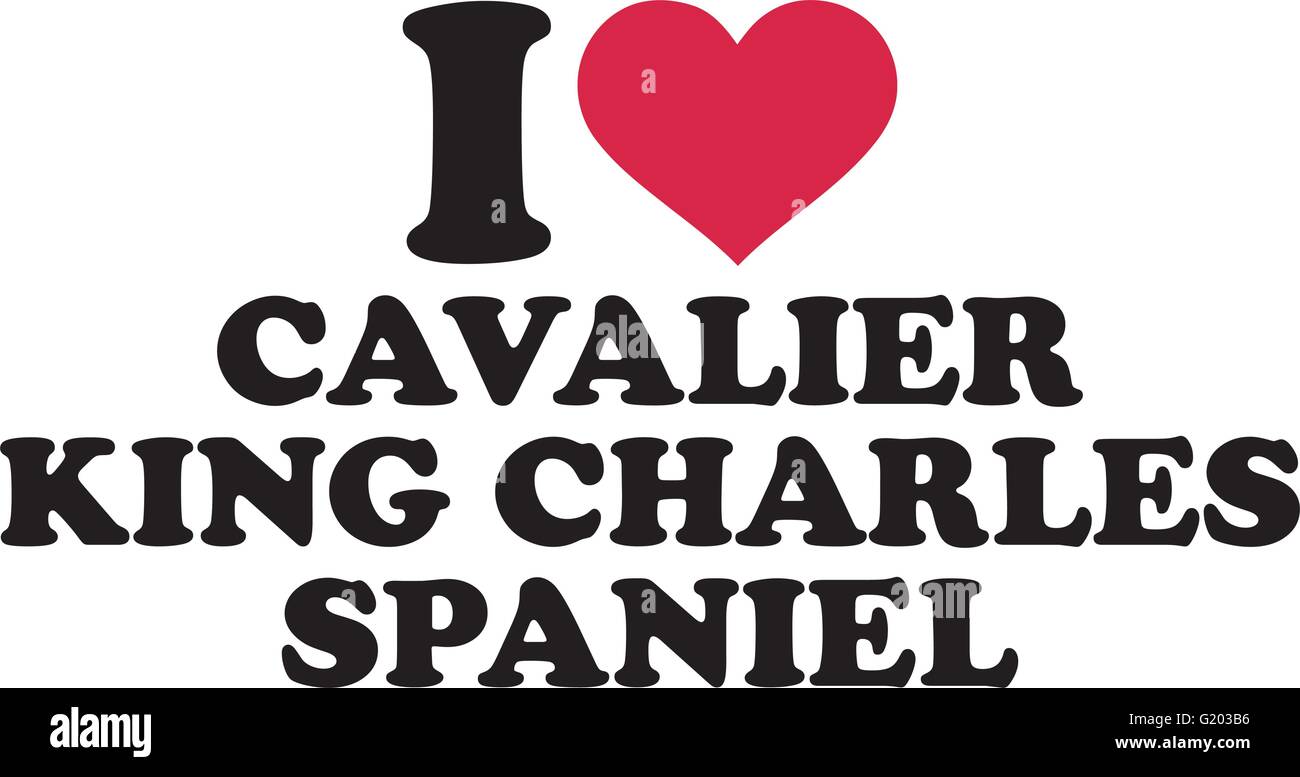 King charles cavalier spaniel Stock Vector Images - Alamy