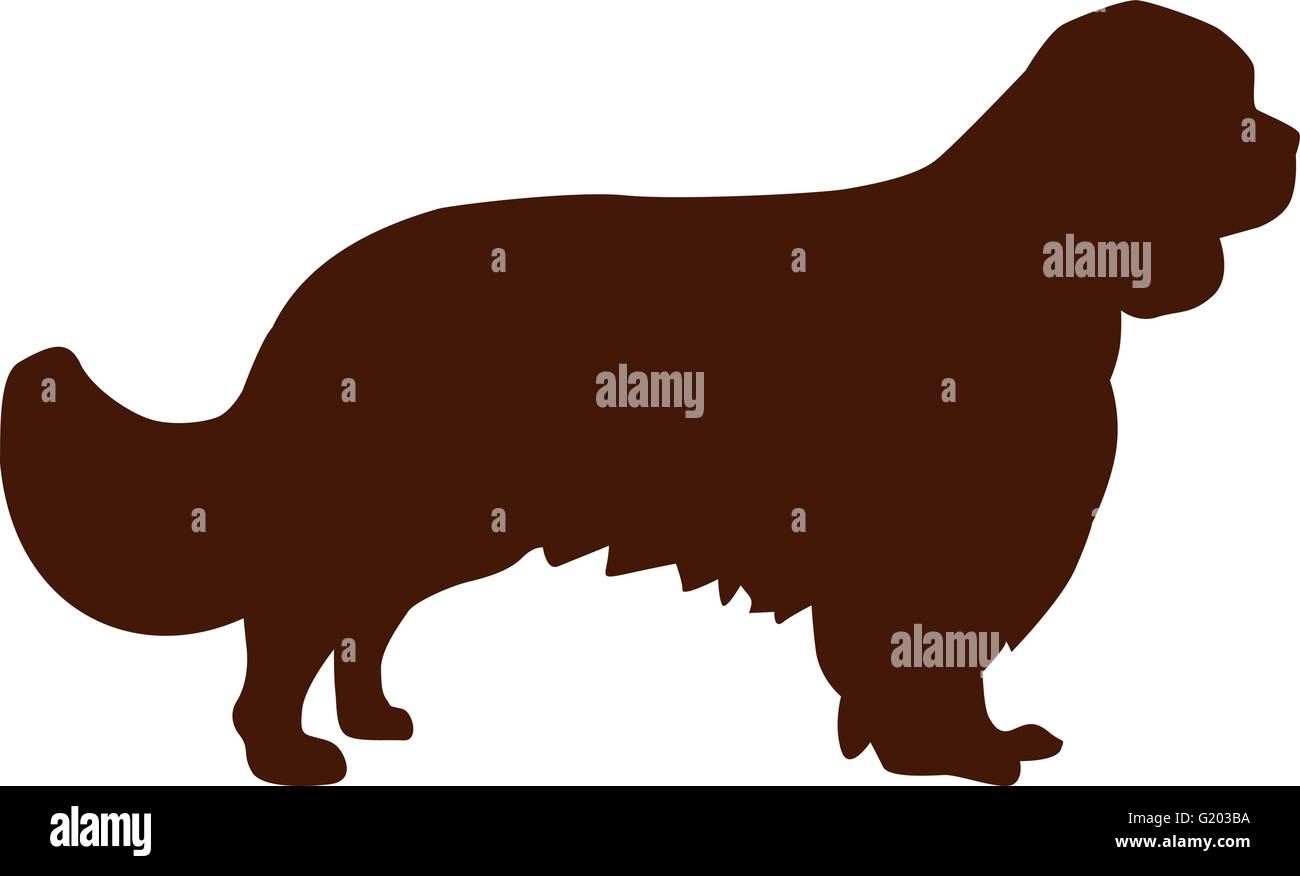 King charles cavalier spaniel Stock Vector Images - Alamy