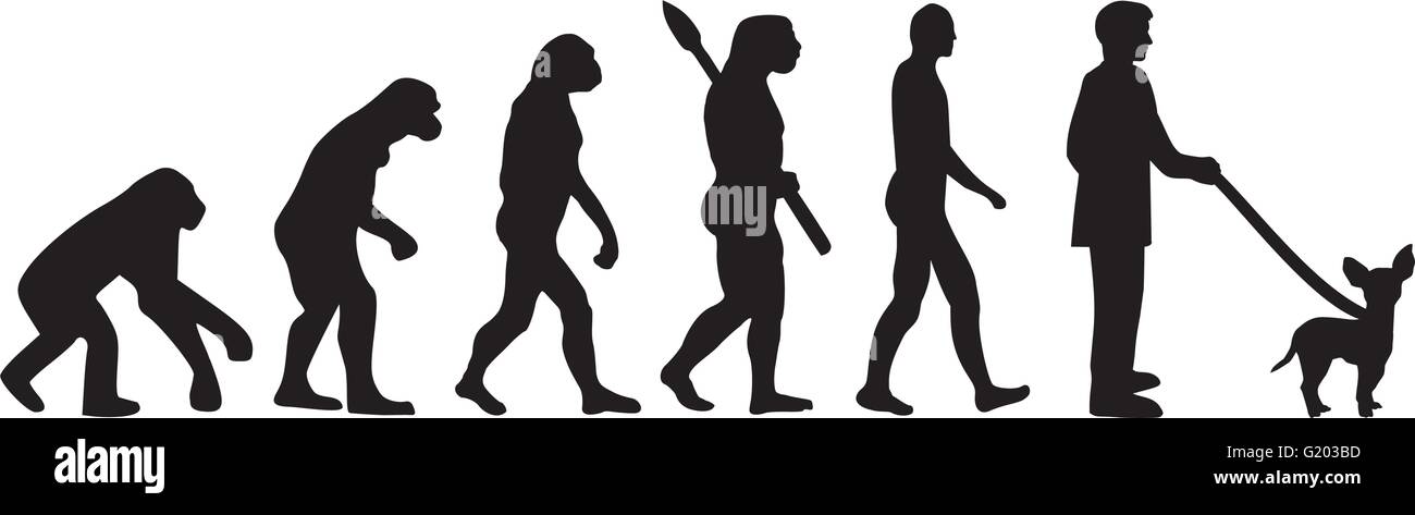 Chihuahua history Stock Vector Images - Alamy