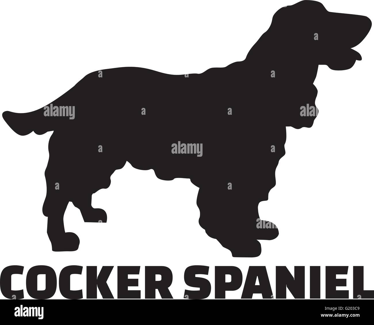 Cocker spaniel vector vectors hi-res stock photography and images - Alamy