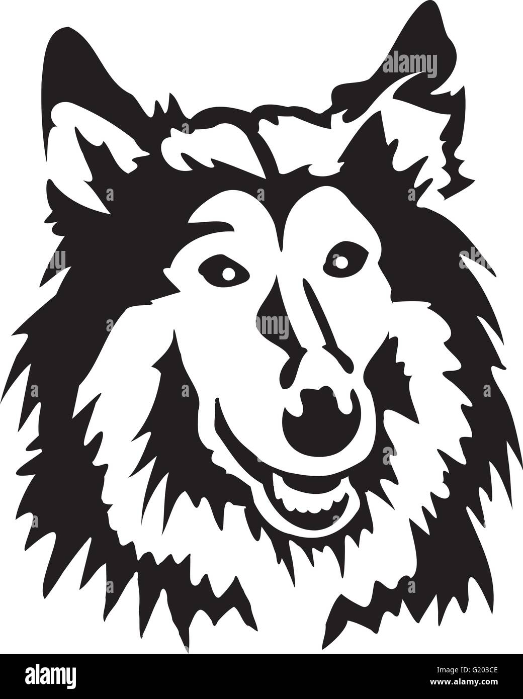 Border collie head Stock Vector Images - Alamy