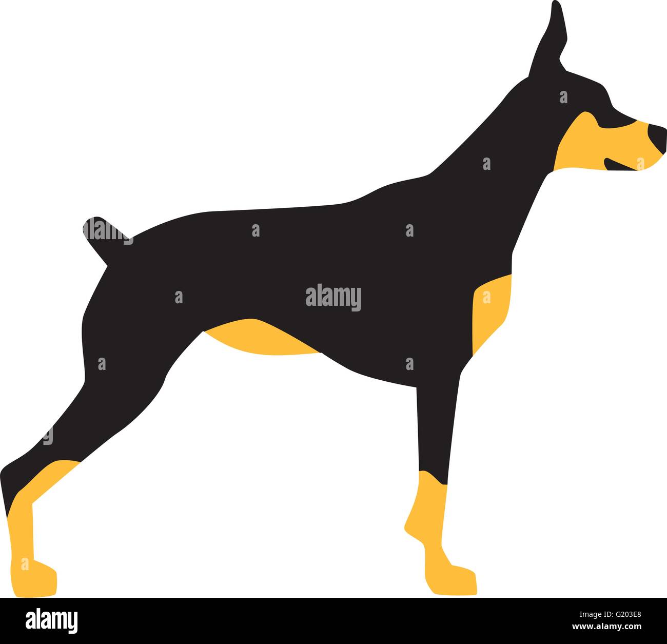 Doberman pinscher Stock Vector Images - Alamy