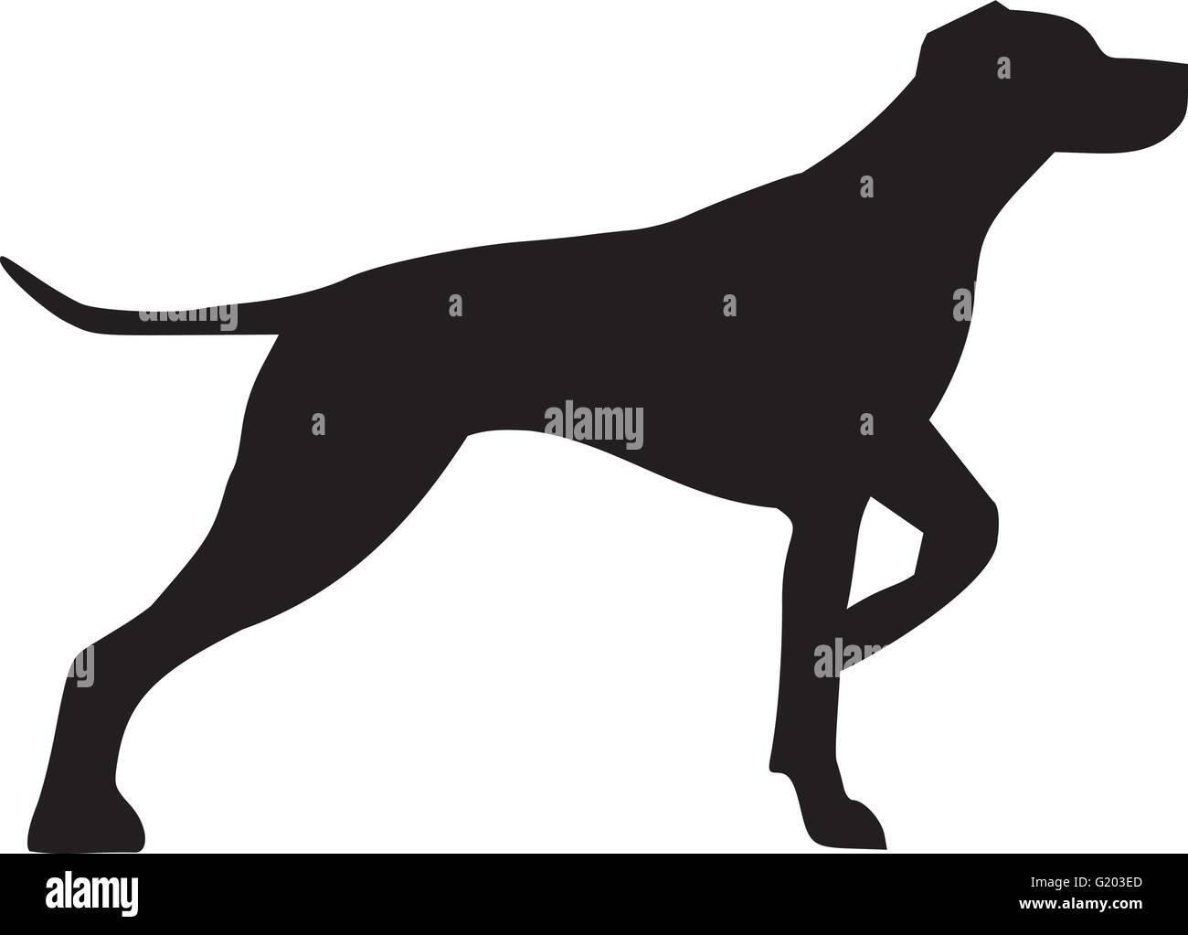 Short Hair Stock Vector Images Alamy