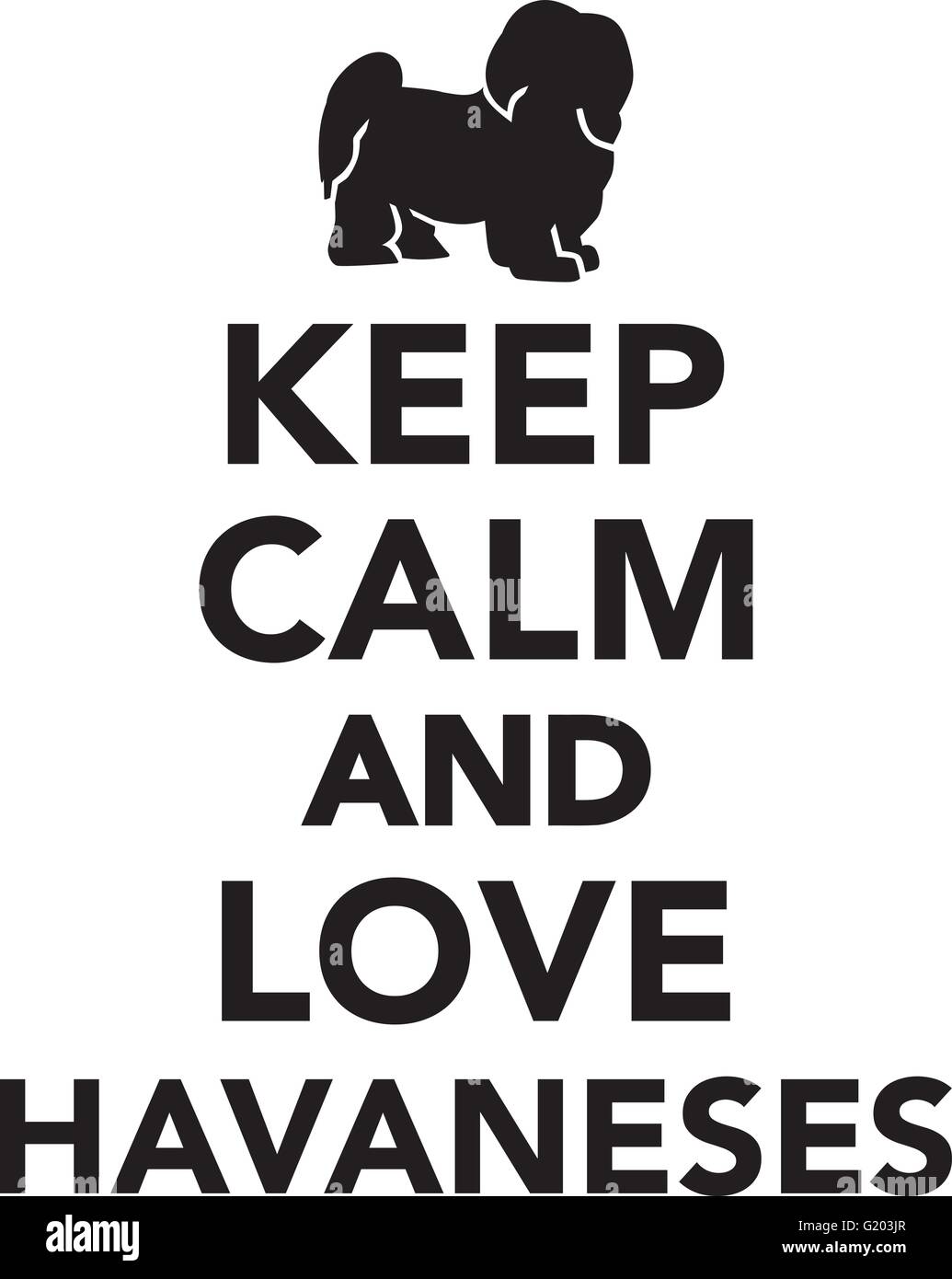 Havanese silhouette hi-res stock photography and images - Alamy