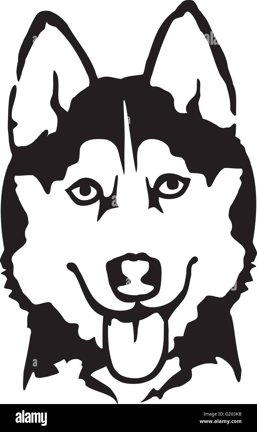 Husky vector Stock Vector Images - Alamy
