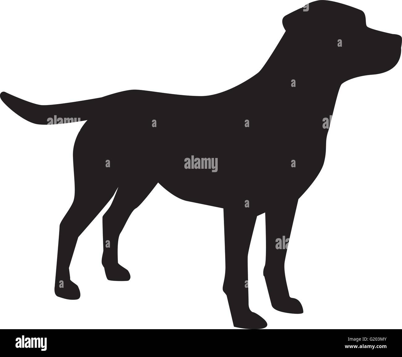 Labrador Retriever Outline