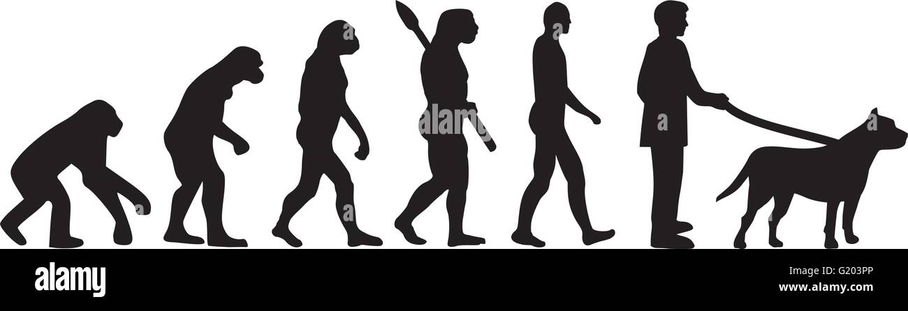 Pit bull evolution Stock Vector Image & Art - Alamy