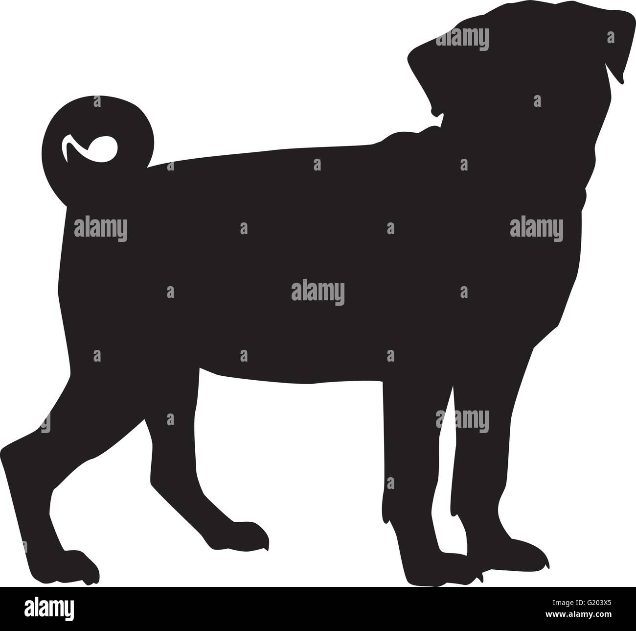 Dutch dog breed Stock Vector Images - Alamy