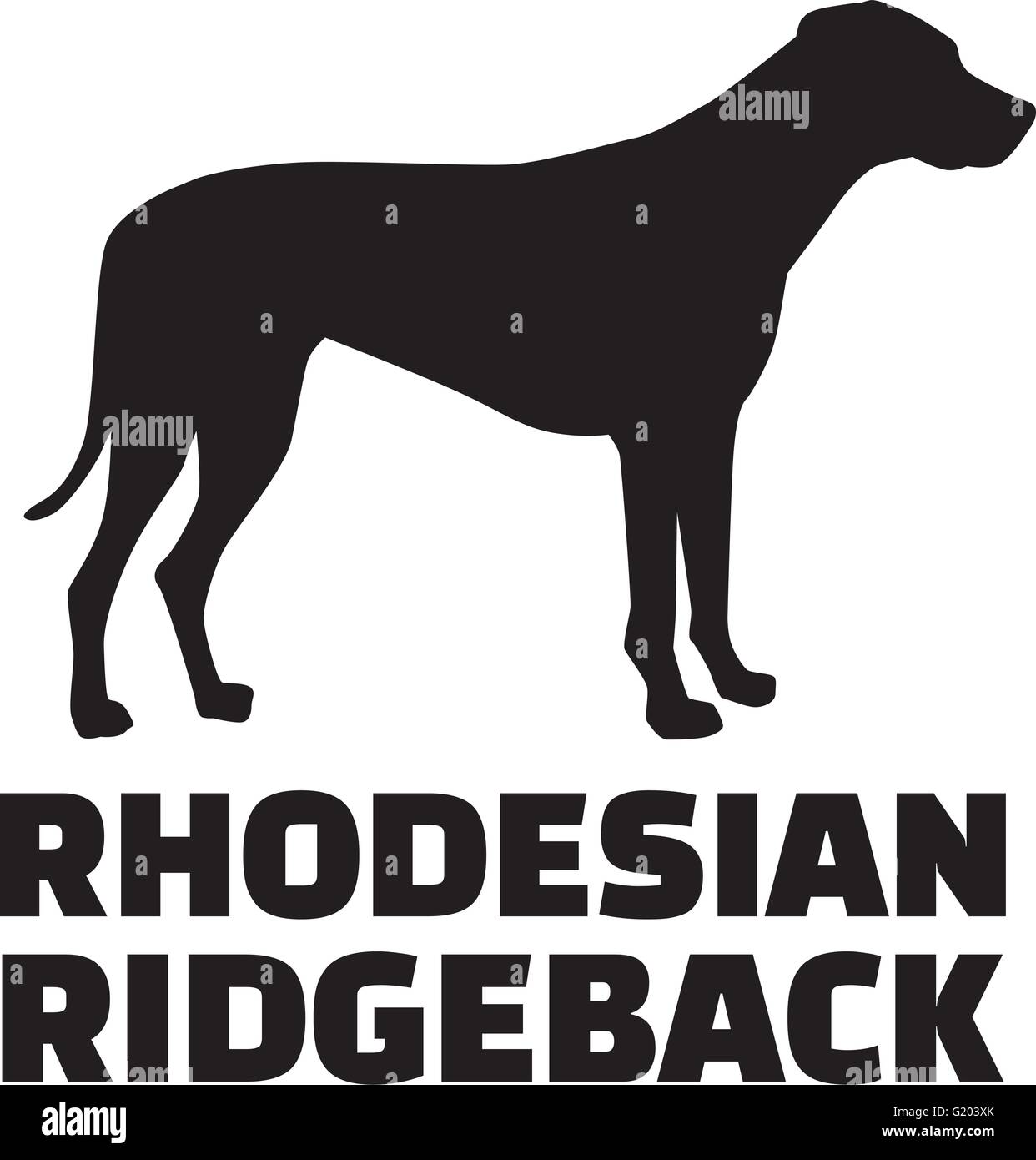 Ridgeback vector vectors hi-res stock photography and images - Alamy