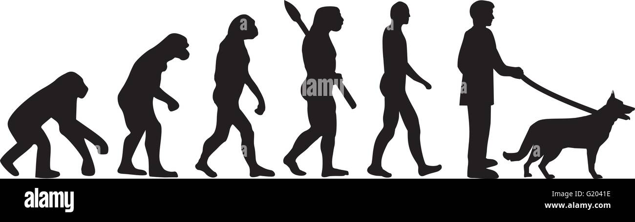 German Shepherd evolution Stock Vector Image & Art - Alamy