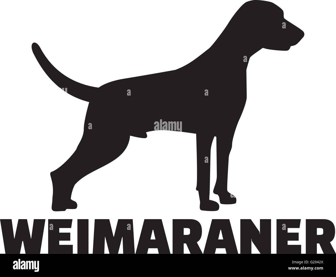 Weimaraner puppy Stock Vector Images - Alamy