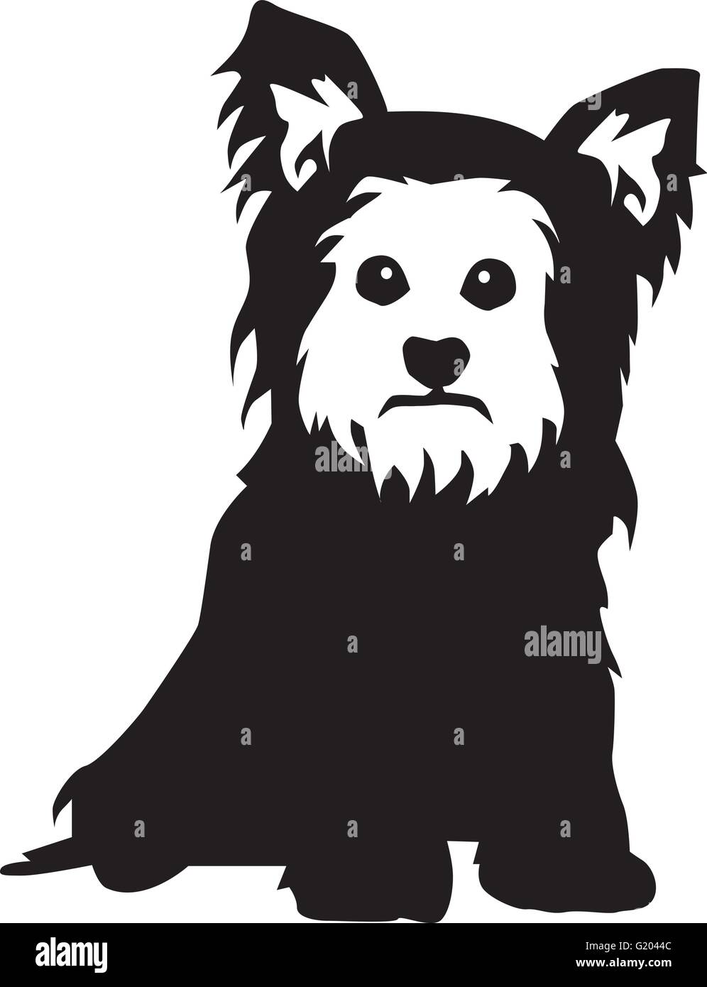 Yorkshire terrier vector vectors hi-res stock photography and images ...