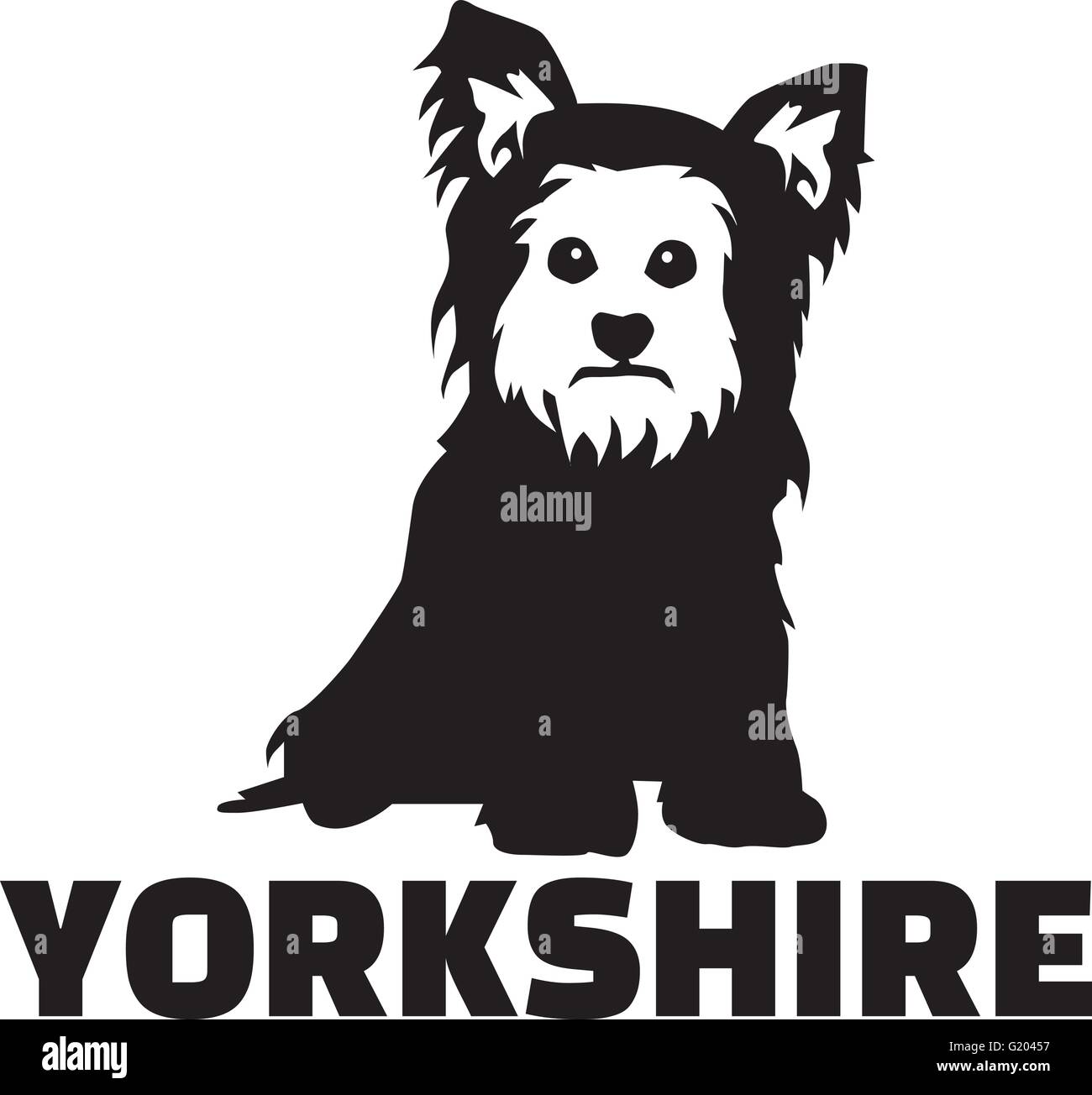 Yorkshire Terrier with breed name Stock Vector Image & Art - Alamy