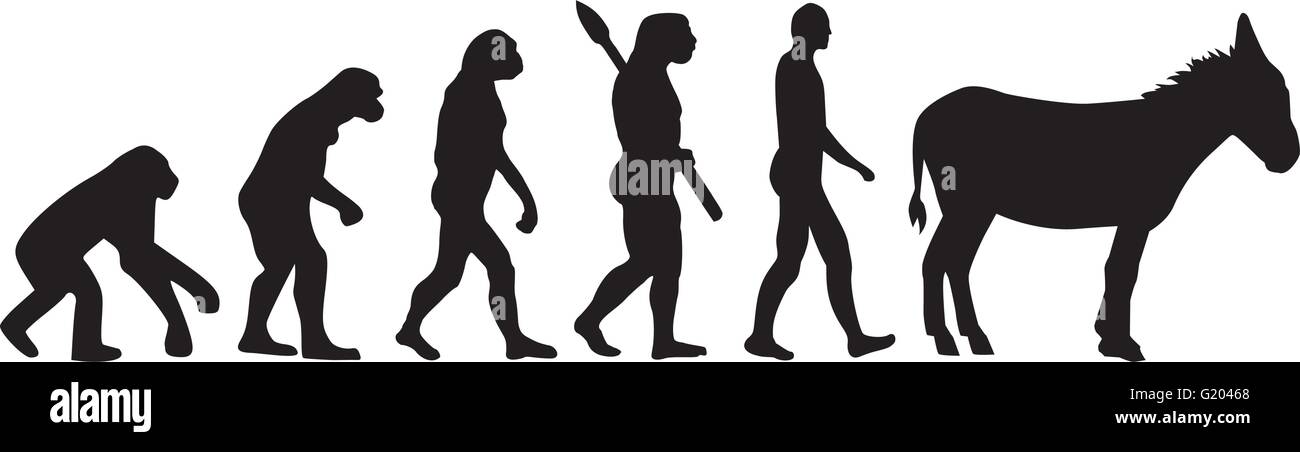 Evolution of the horse vector hi-res stock photography and images - Alamy