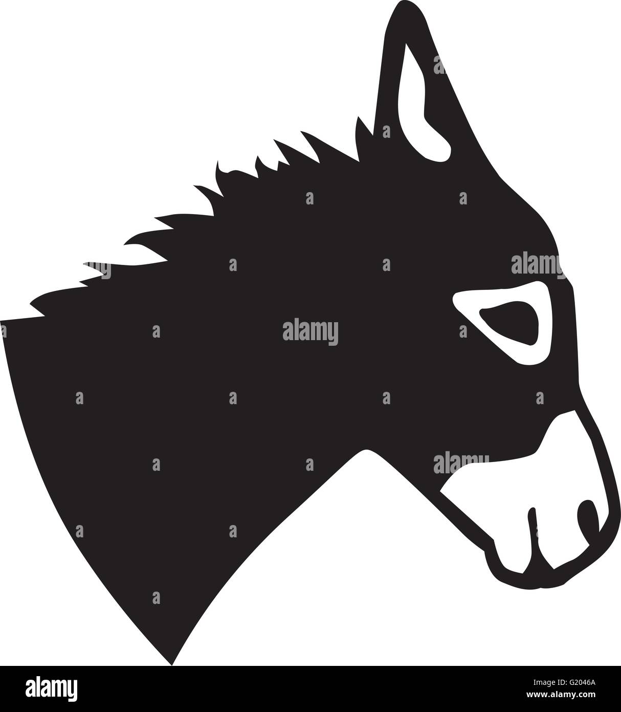 Real donkey head Stock Vector Image & Art - Alamy