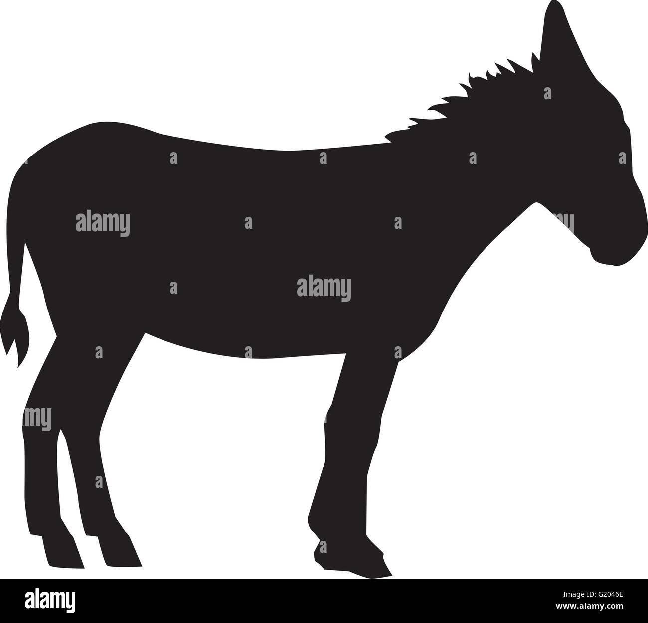 Donkey animal silhouette on Stock Vector Images - Alamy