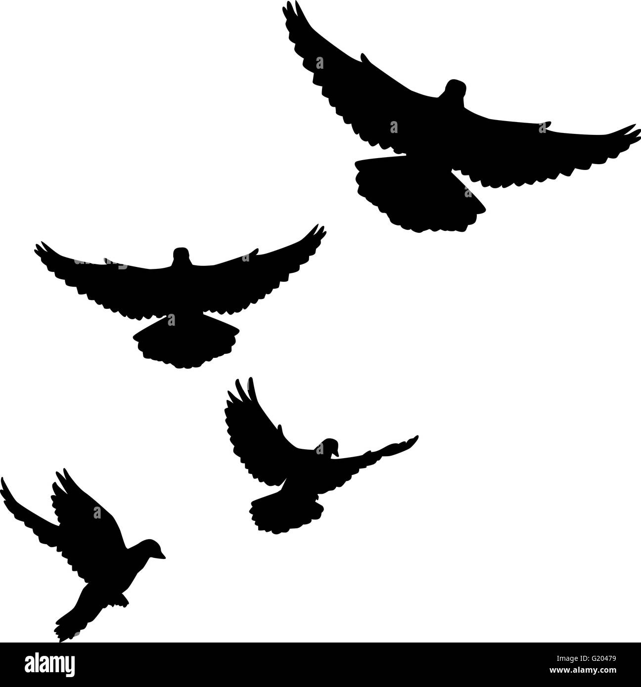 Dove swarm doves flying Stock Vector Image & Art - Alamy