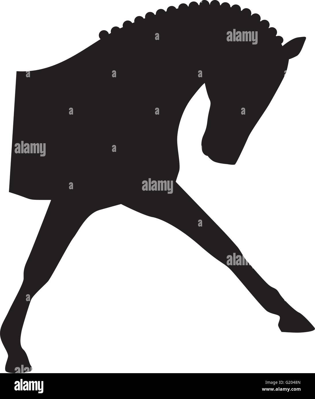 Horse dressage head Stock Vector Image & Art - Alamy
