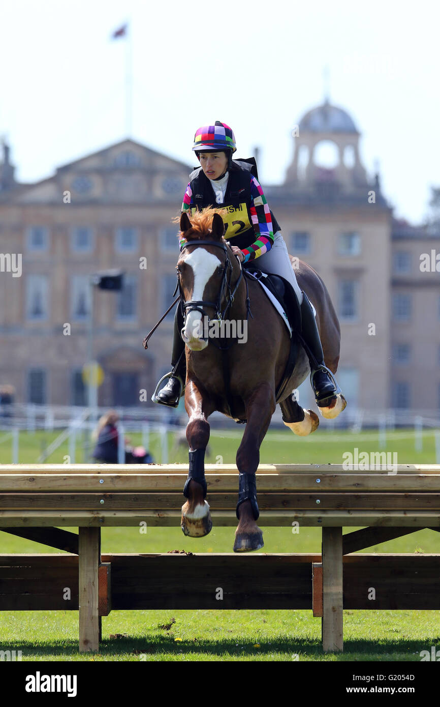 Rambo Horse High Resolution Stock Photography and Images - Alamy