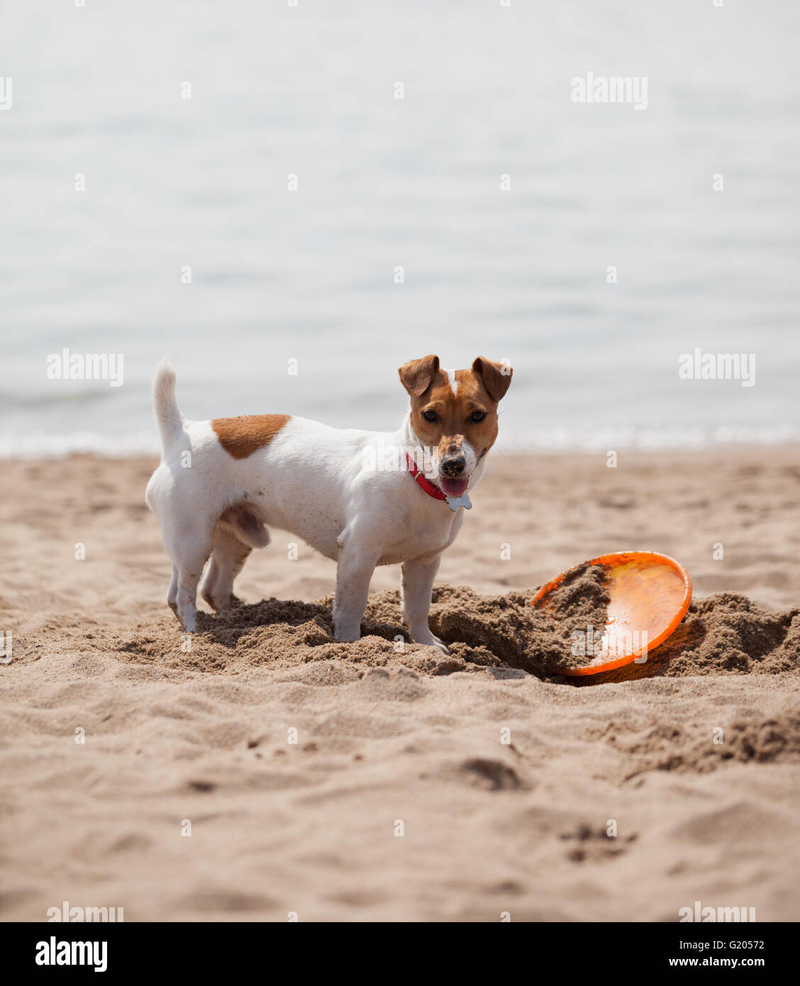 Kids digging on beach hi-res stock photography and images - Alamy