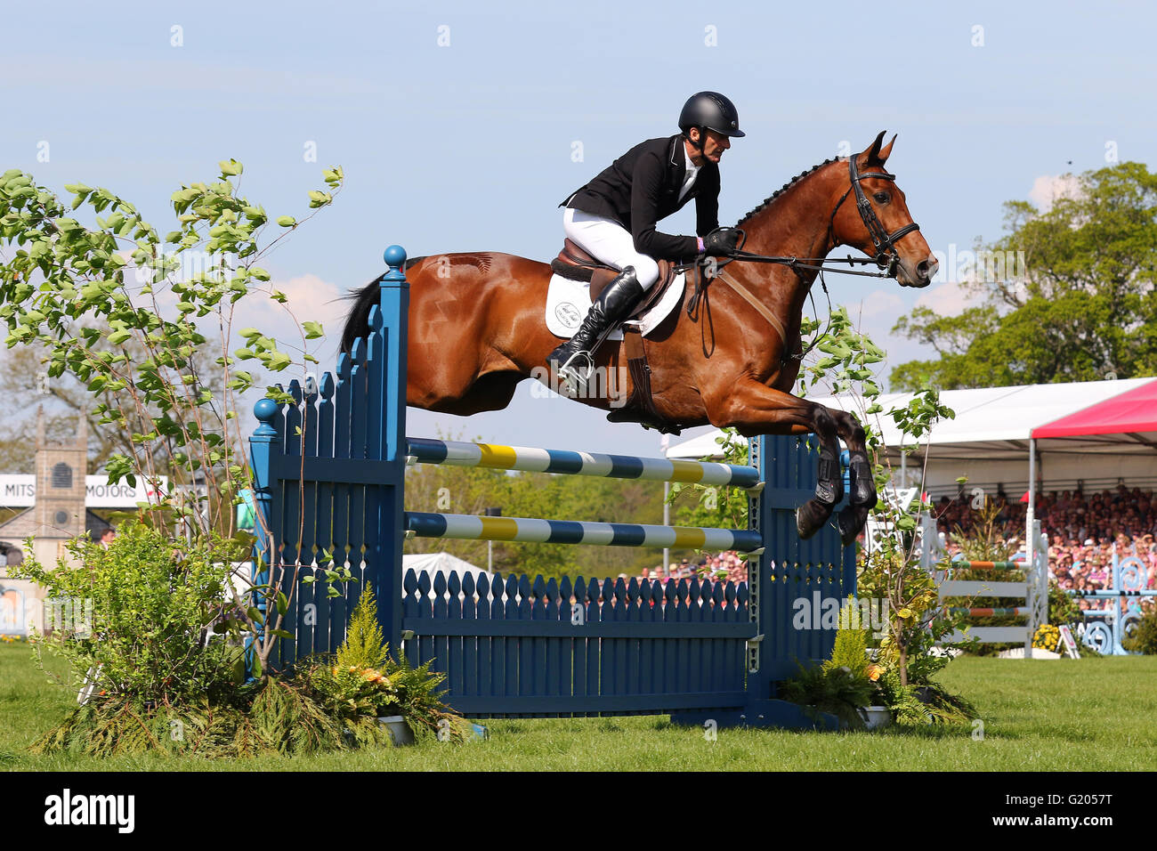 Sir Mark Todd (New Zealand) riding Leonidas II in the show jumping at ...