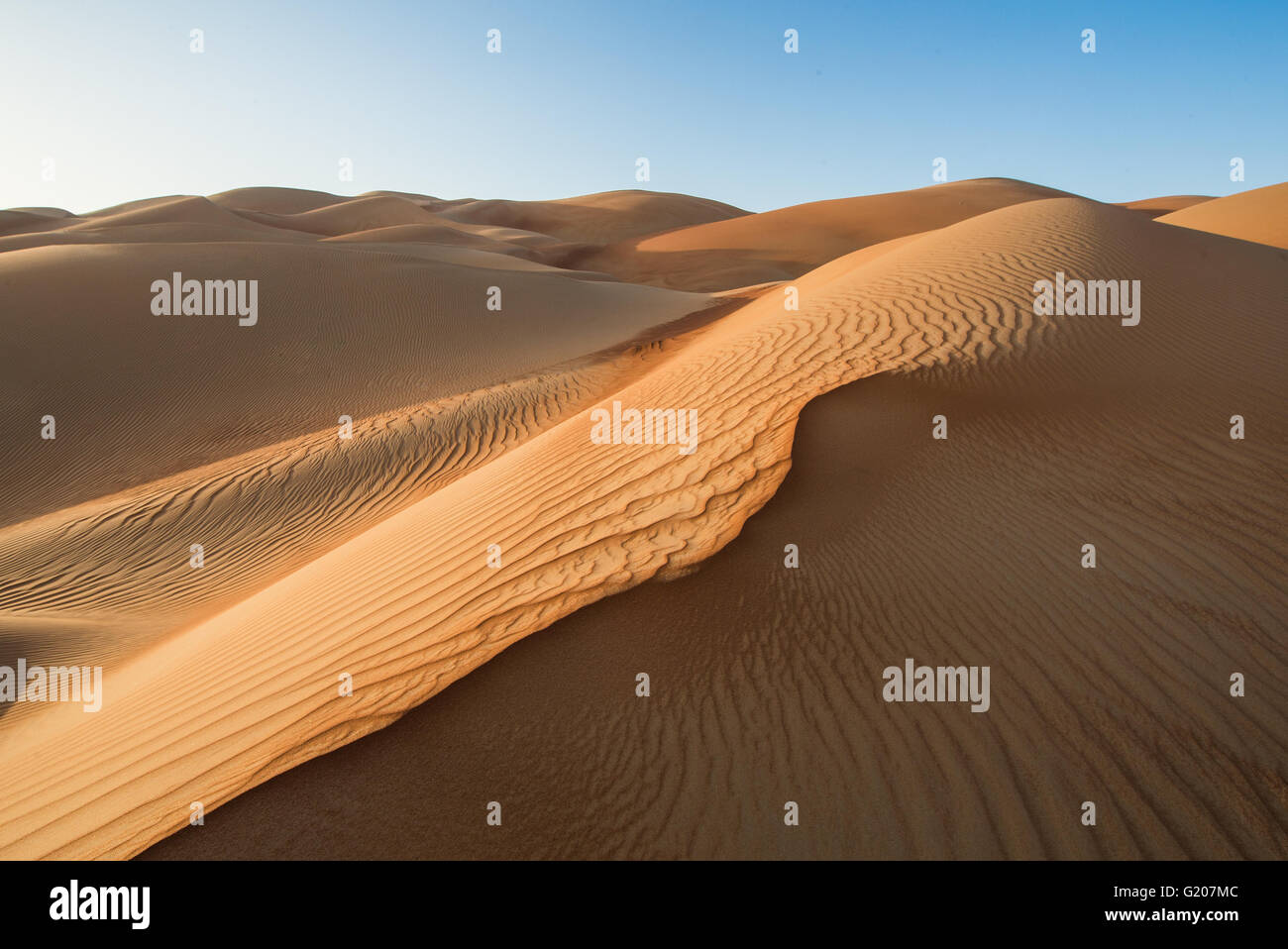Liwa desert, Abu Dhabi, United Arab Emirates Stock Photo - Alamy