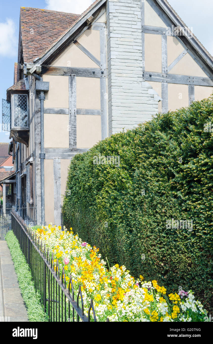 Side view of hedge hi-res stock photography and images - Alamy