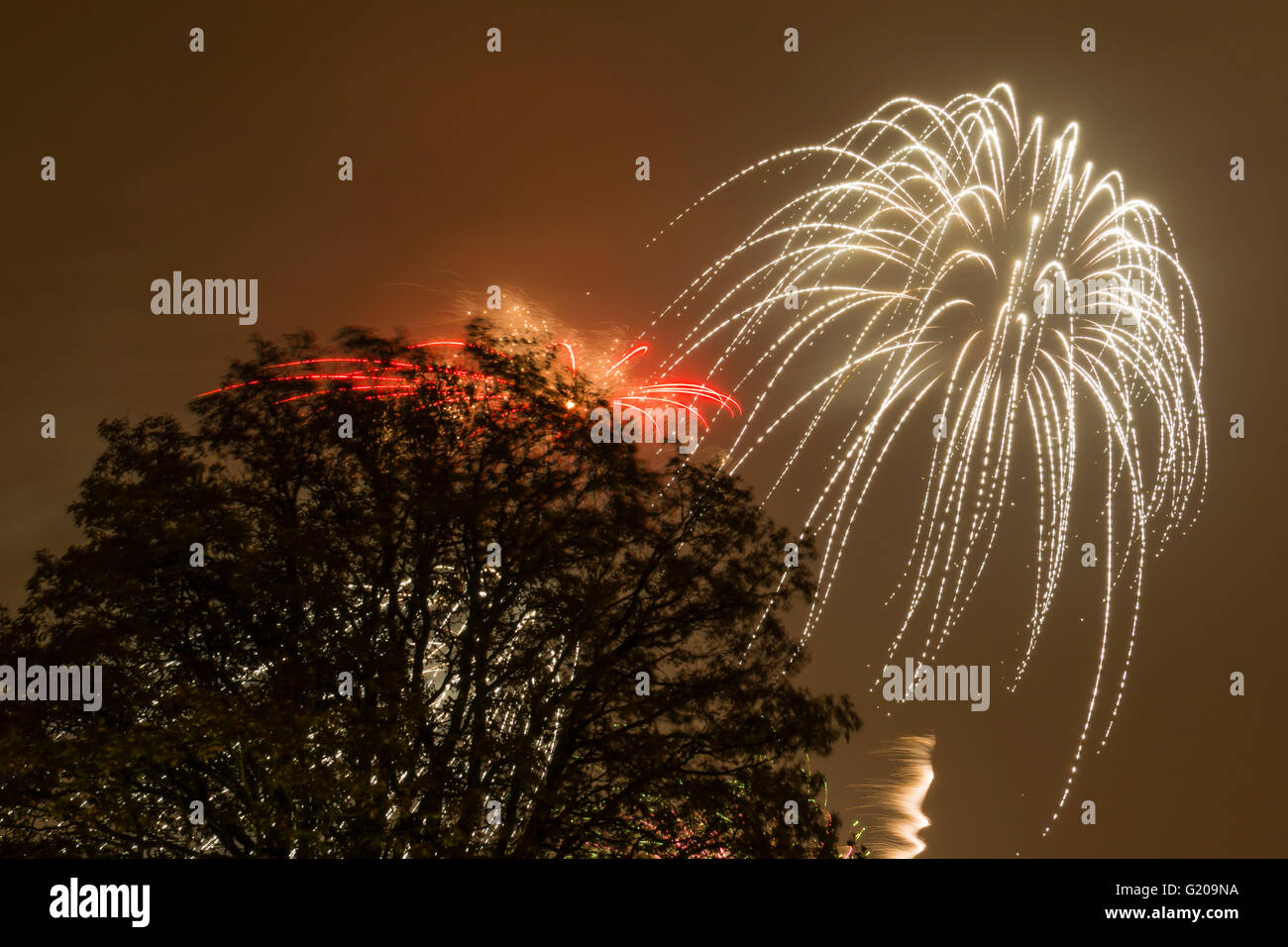 Wonderful long exposure of fireworks on a windy Bonfire Night in north ...