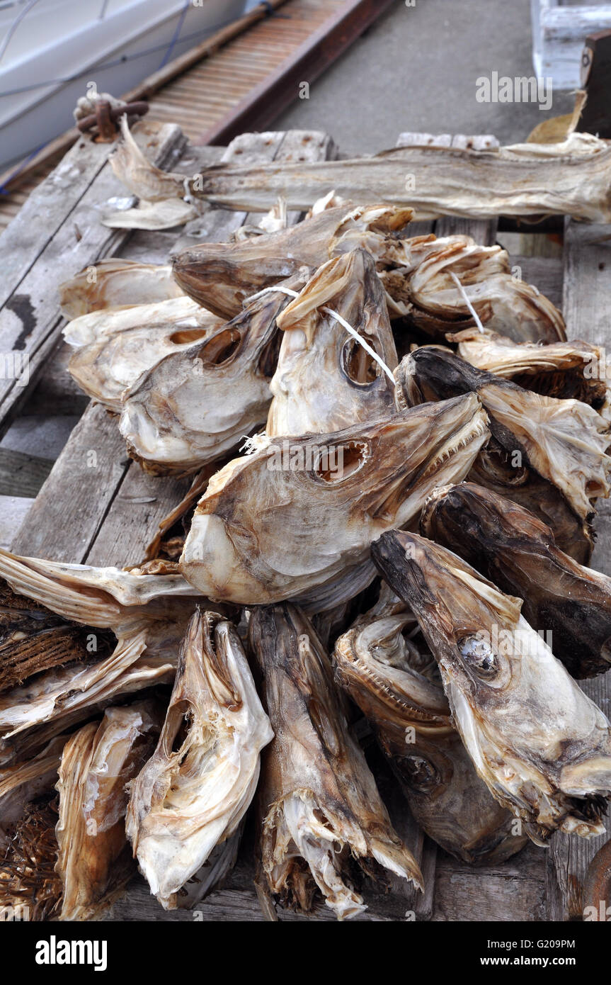 group of stockfish, norway Stock Photo - Alamy
