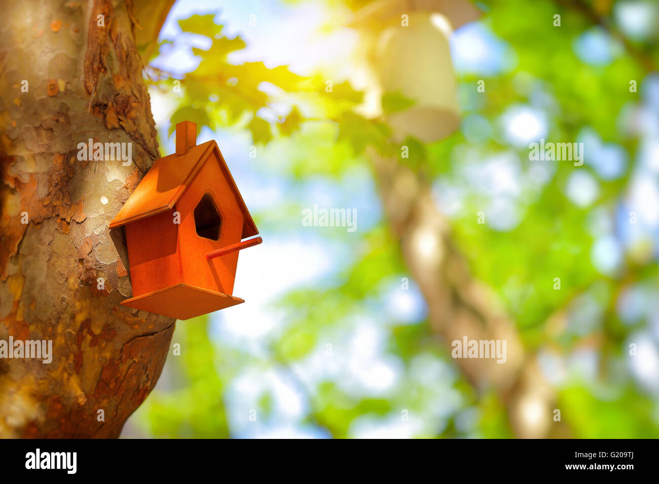 Closeup photo of a cute little nesting box on a tree trunk in a park ...