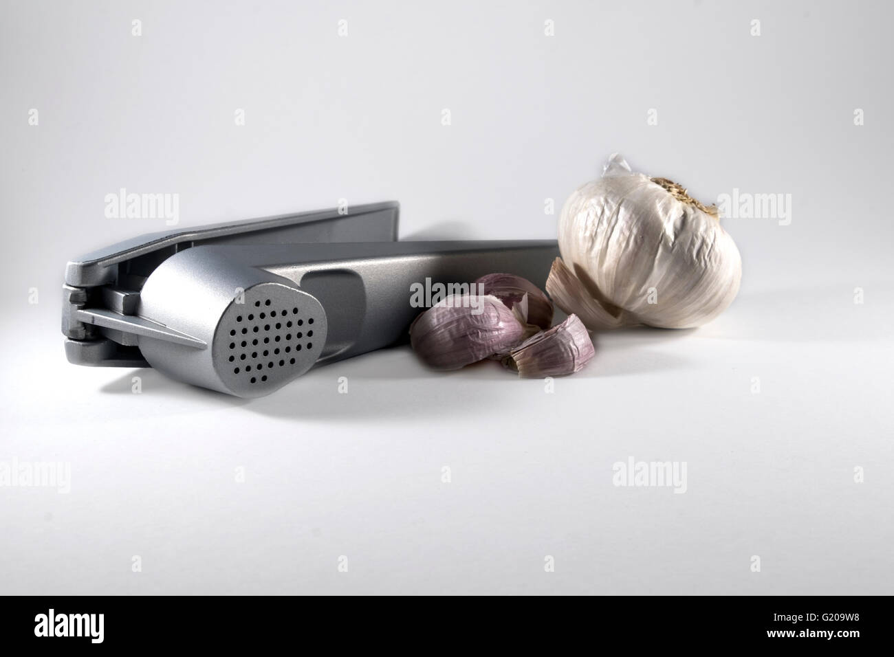 Brushed steel garlic press with garlic bulb and cloves on white ...