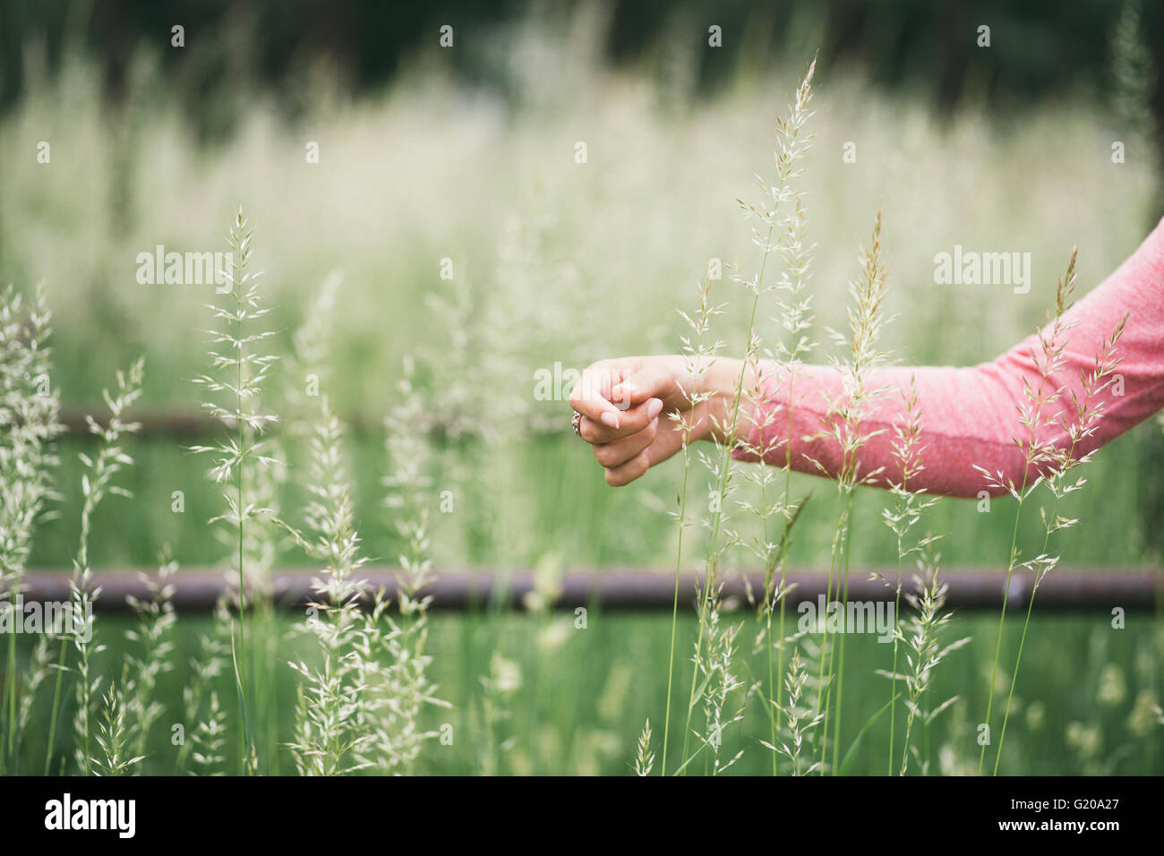 Woman in green hand hi-res stock photography and images - Alamy
