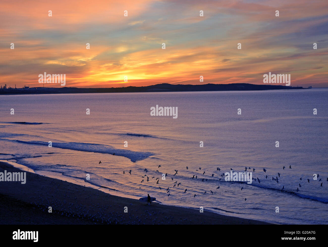 Surfer and flock of birds on Cronulla beach at sunrise, NSW, Australia ...