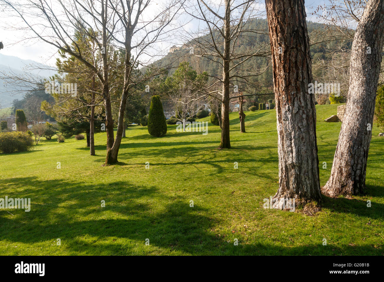 View of a big park with pine trees and meadow area around Stock Photo ...
