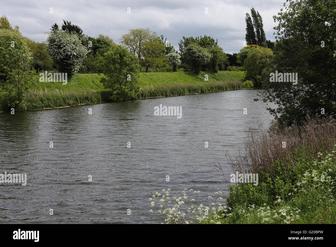 Spalding lincolnshire hi-res stock photography and images - Alamy