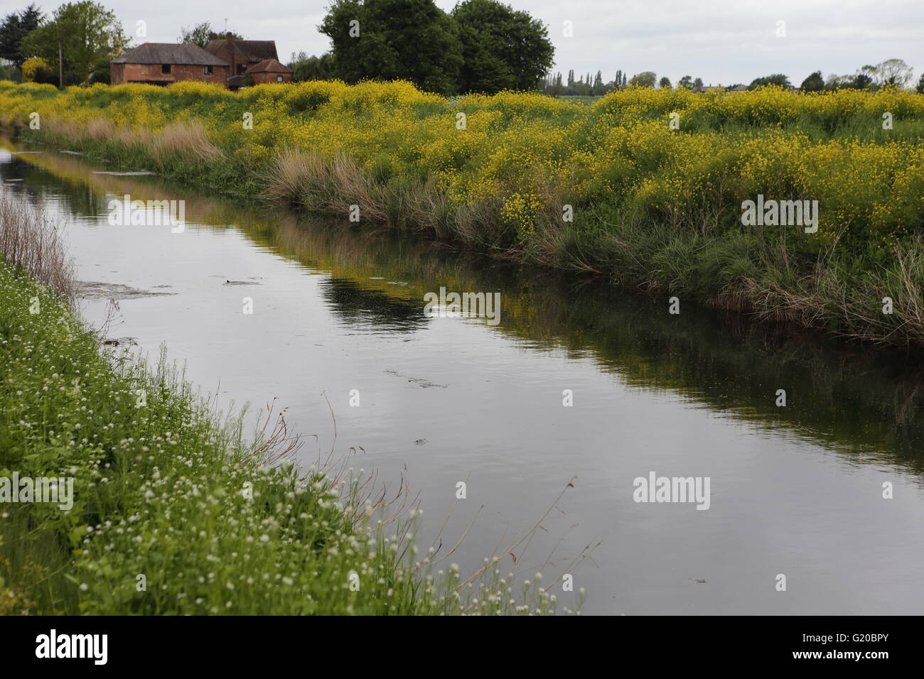 Spalding lincolnshire hi-res stock photography and images - Alamy