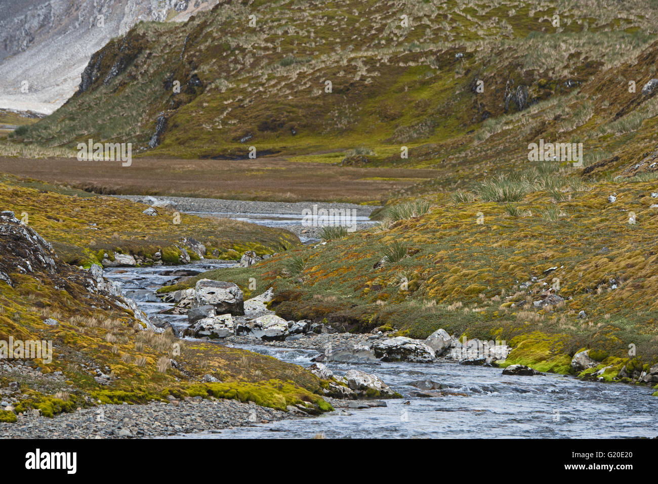 Stream & valley near Coal Harbour, South Georgia January Stock Photo ...