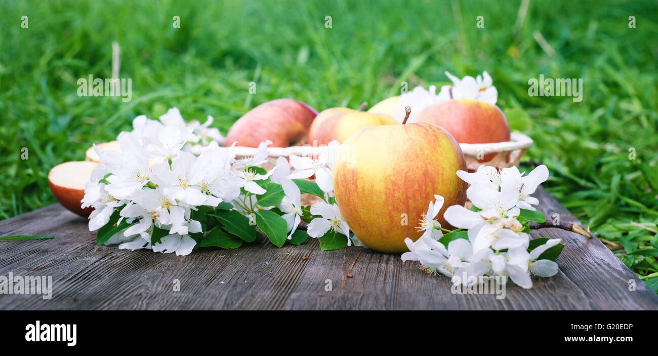 apple and flowers on a blackboard Stock Photo - Alamy