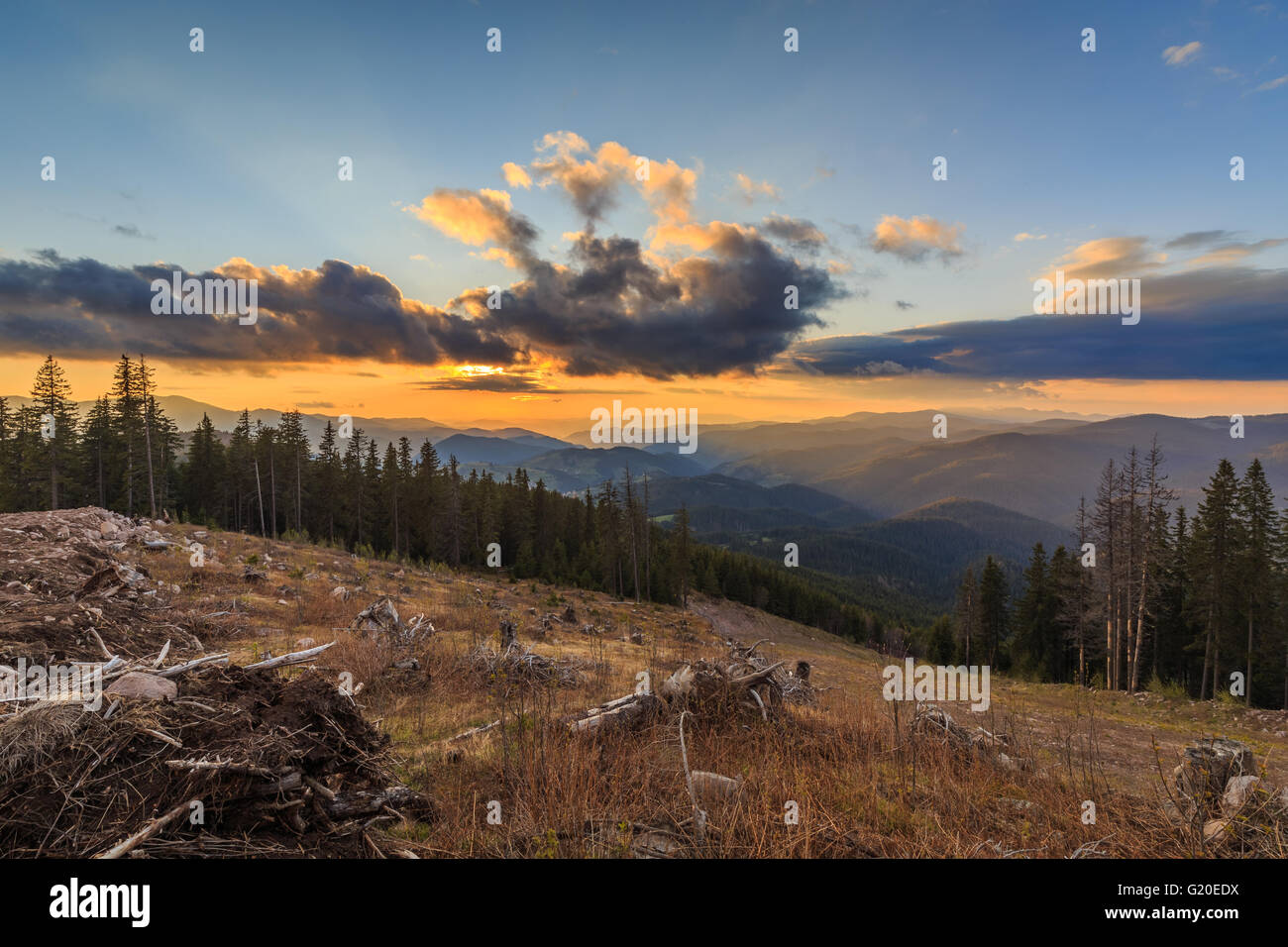 Sunset mountain tree sky hi-res stock photography and images - Alamy