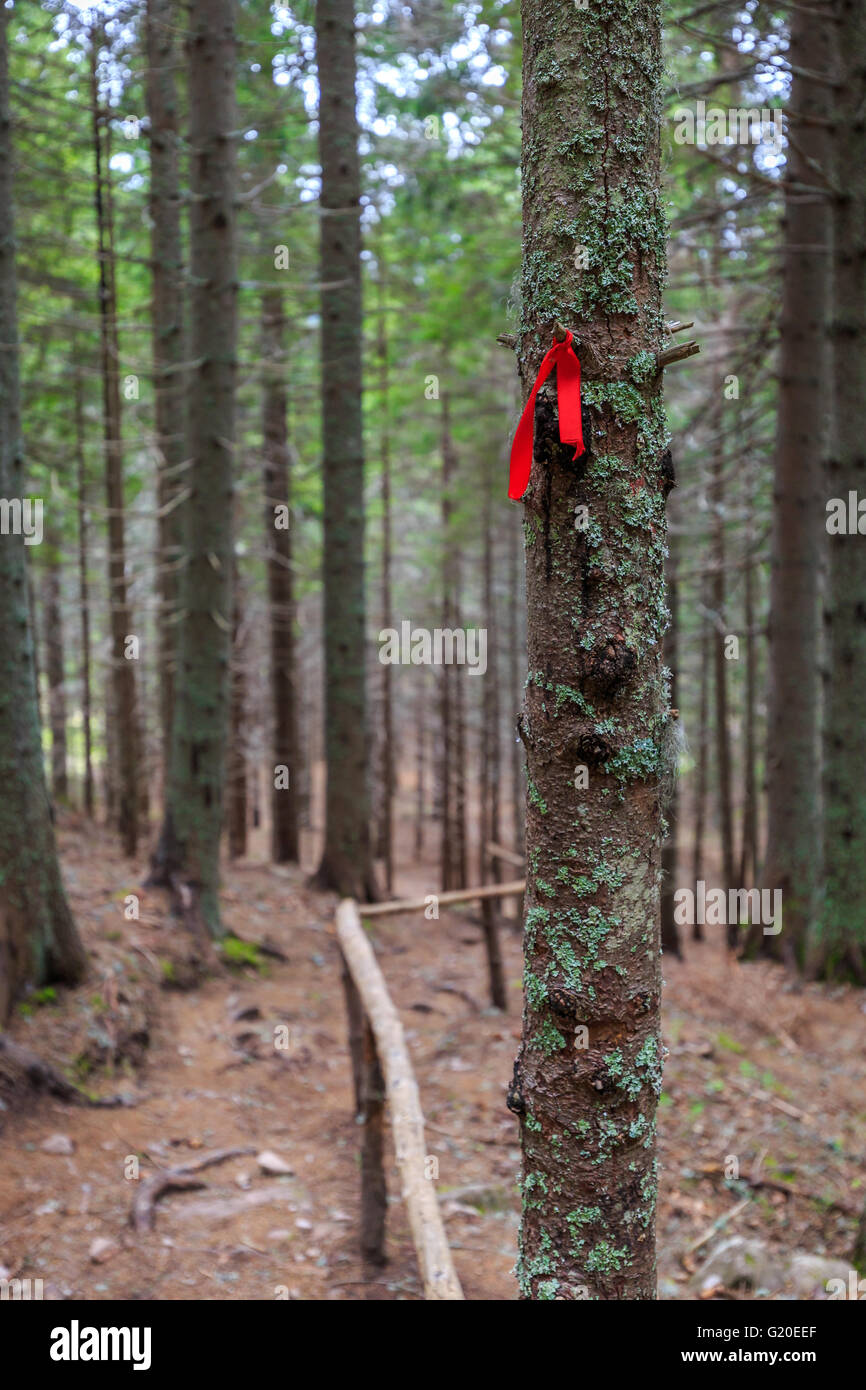 Plant finder hi-res stock photography and images - Alamy