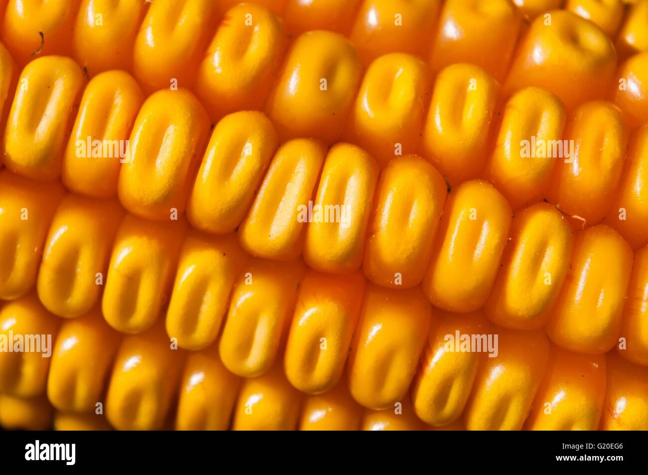 Gold maze hi-res stock photography and images - Alamy