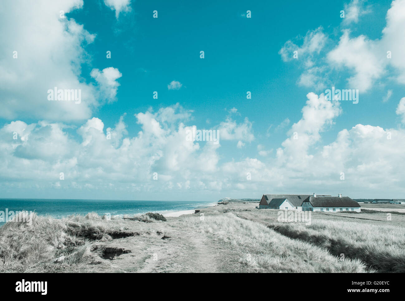 Wild coastline in Denmark Stock Photo - Alamy