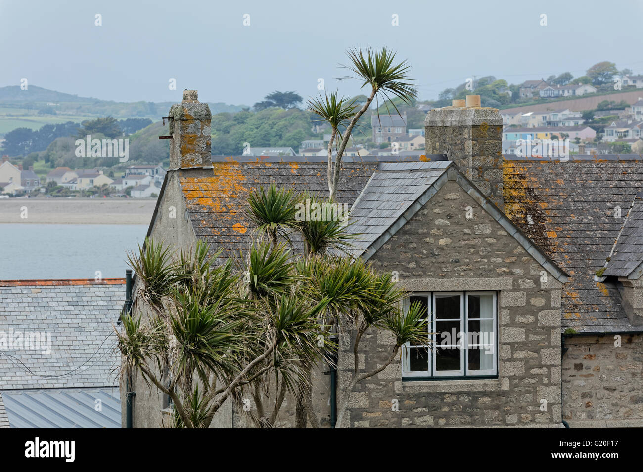 Old stone building with palm trees at St Michael's Mount in Cornwall ...