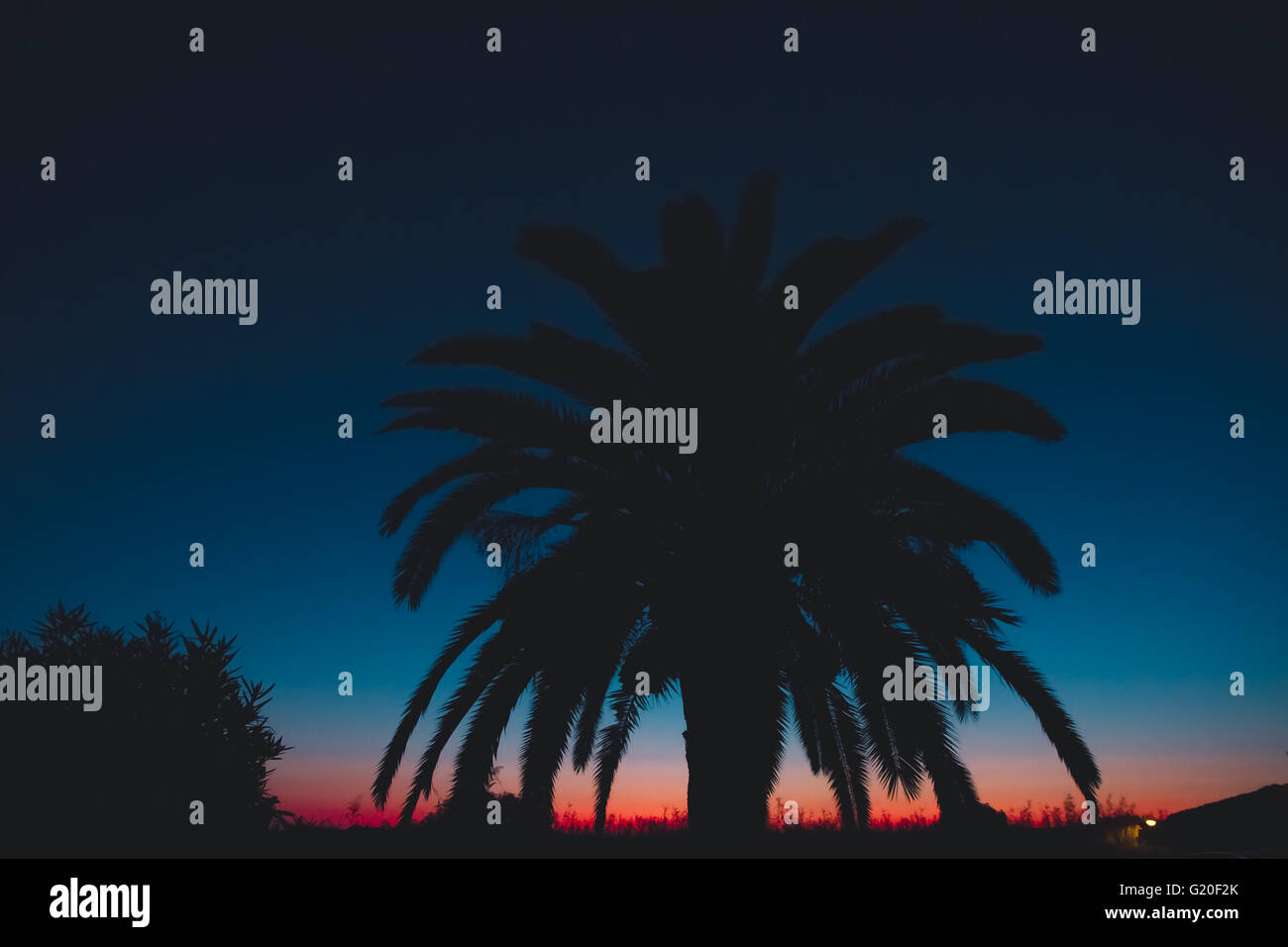 Palm and sunset hi-res stock photography and images - Alamy